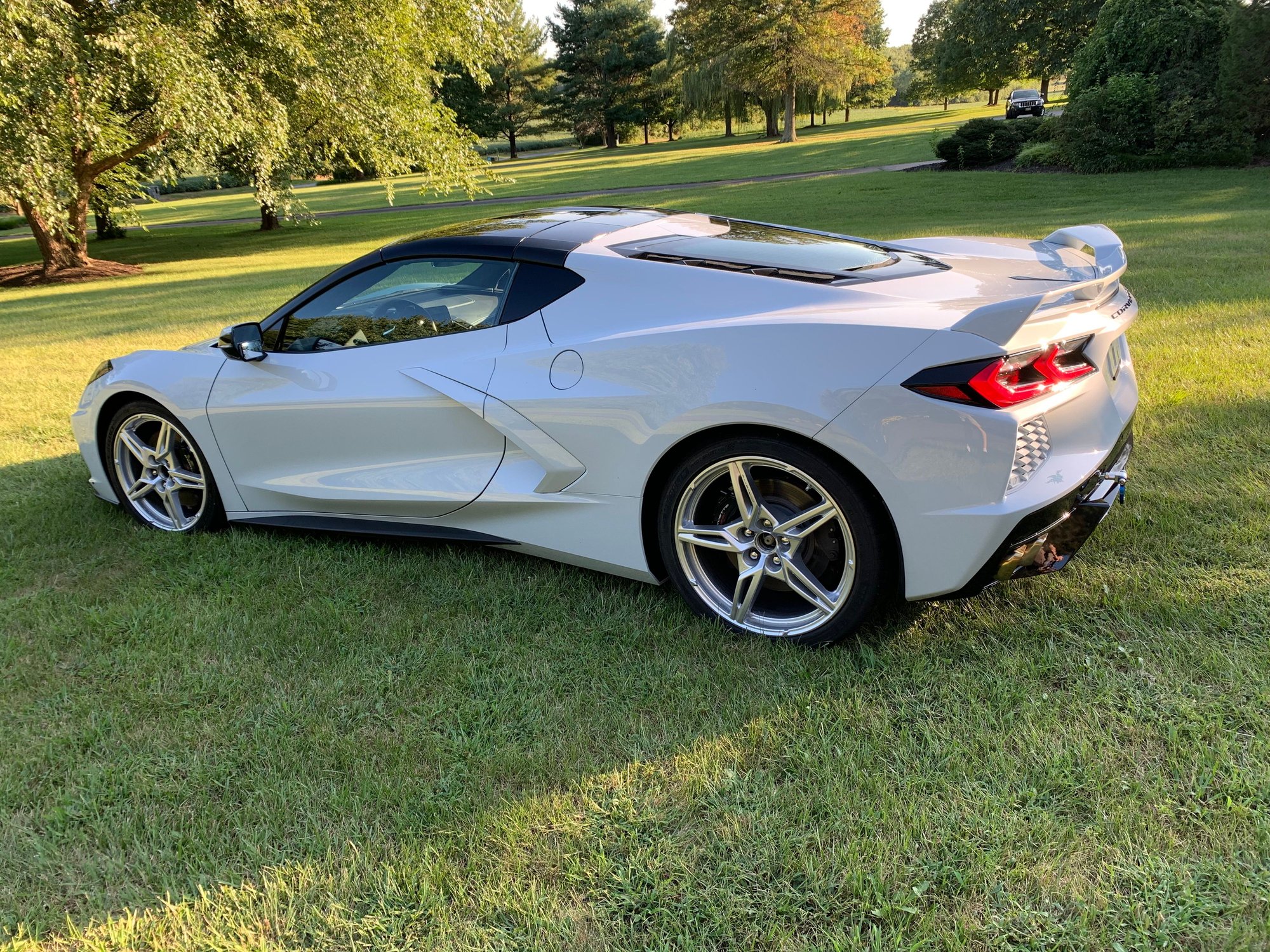 FS: 2020 Z51 C8 Stunner - CorvetteForum - Chevrolet Corvette Forum ...
