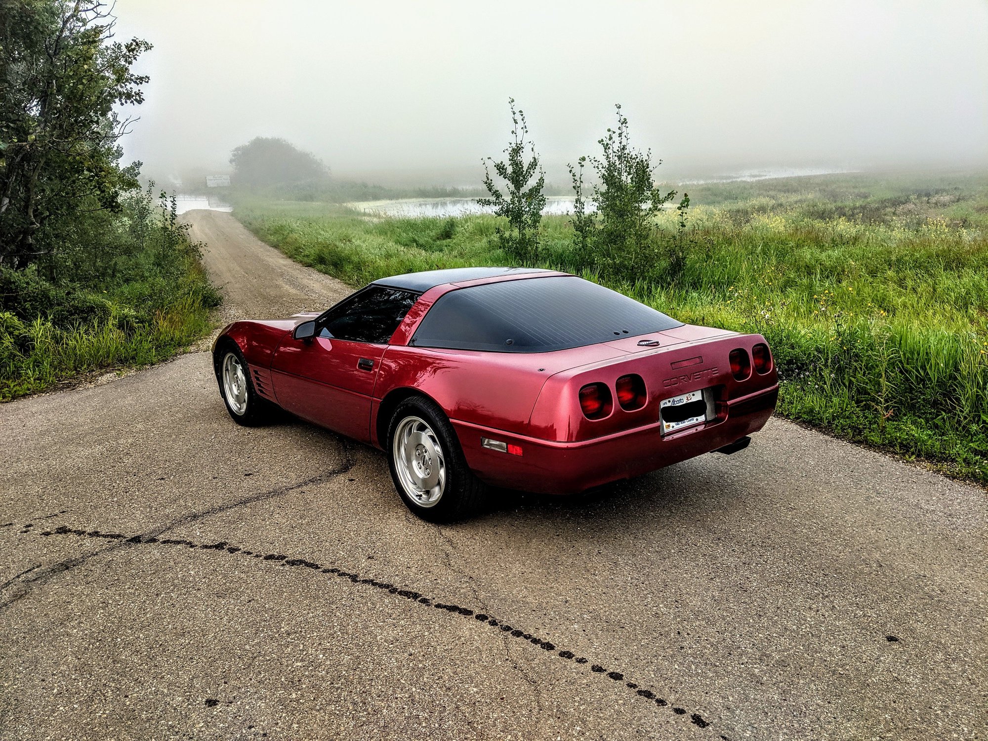 Black c4 vert window tint suggestions? - CorvetteForum - Chevrolet ...