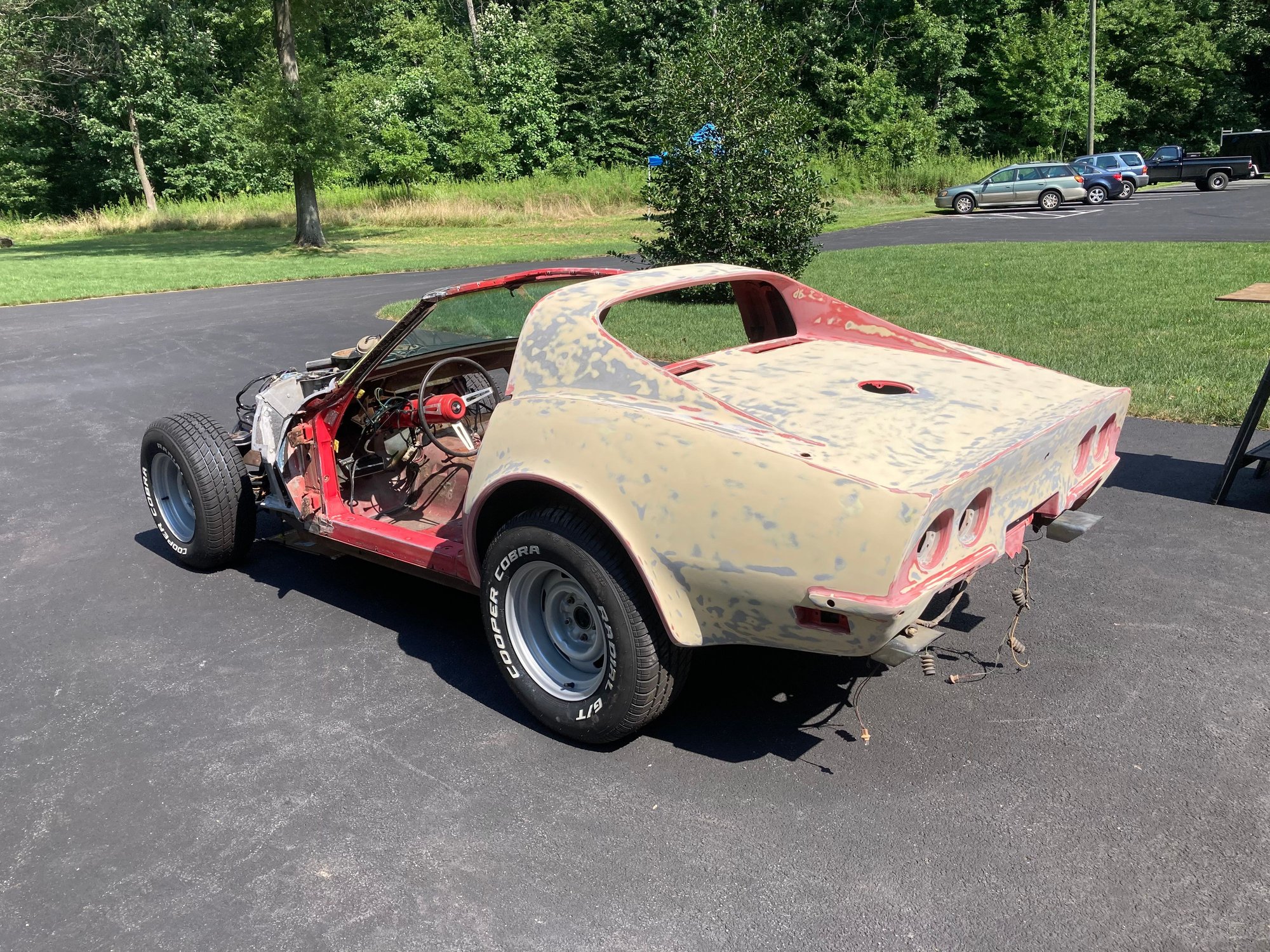 Does My Car Have Chicken Pox? - CorvetteForum - Chevrolet Corvette ...