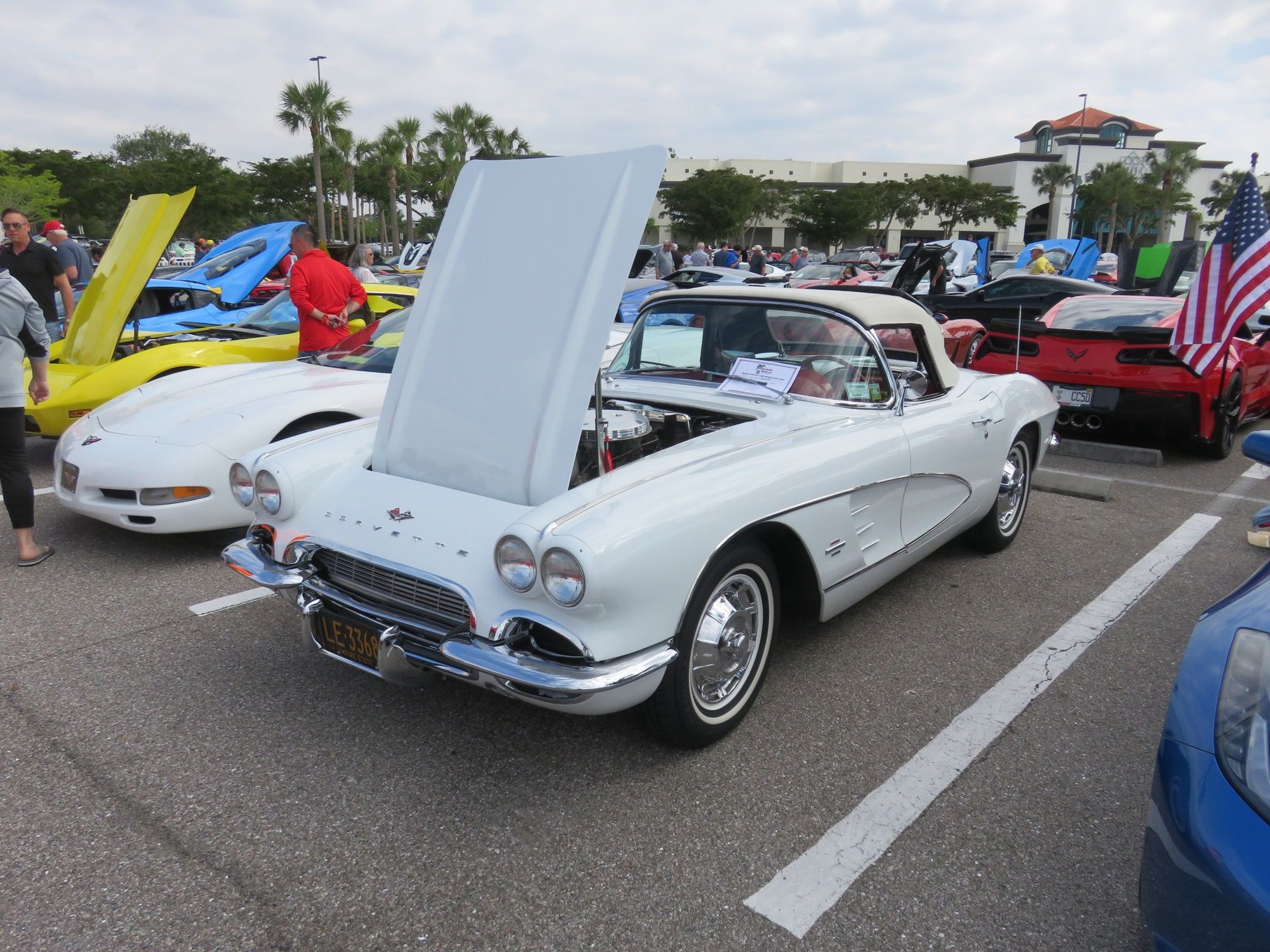 C1 Corvettes vs. Mustangs - CorvetteForum - Chevrolet Corvette Forum ...