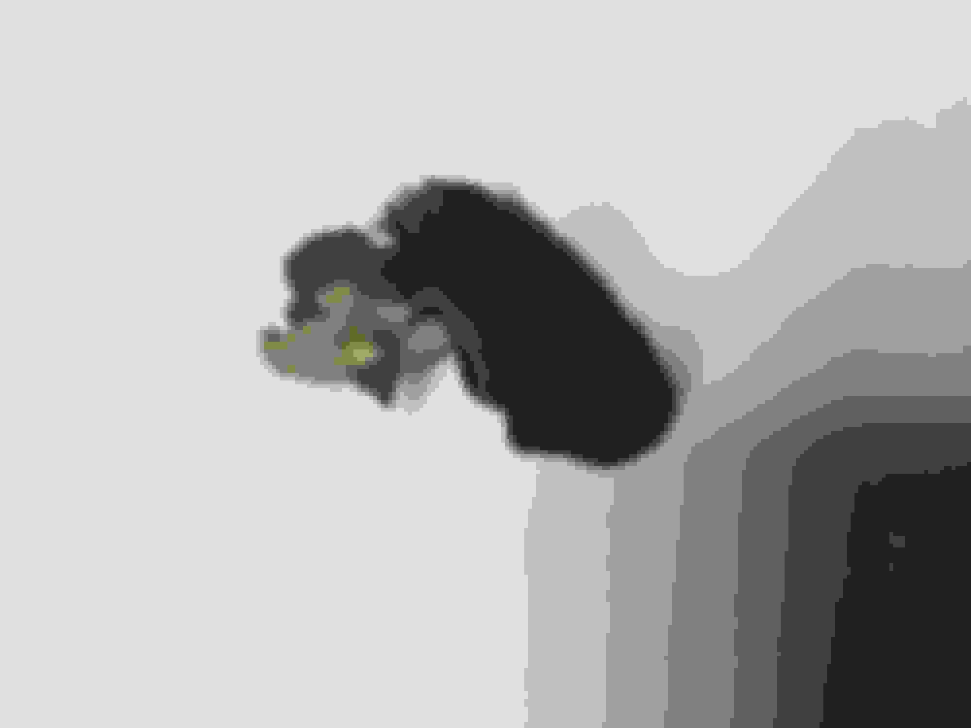 Door Window Anti-Rattle Bumpers - CorvetteForum - Chevrolet Corvette ...