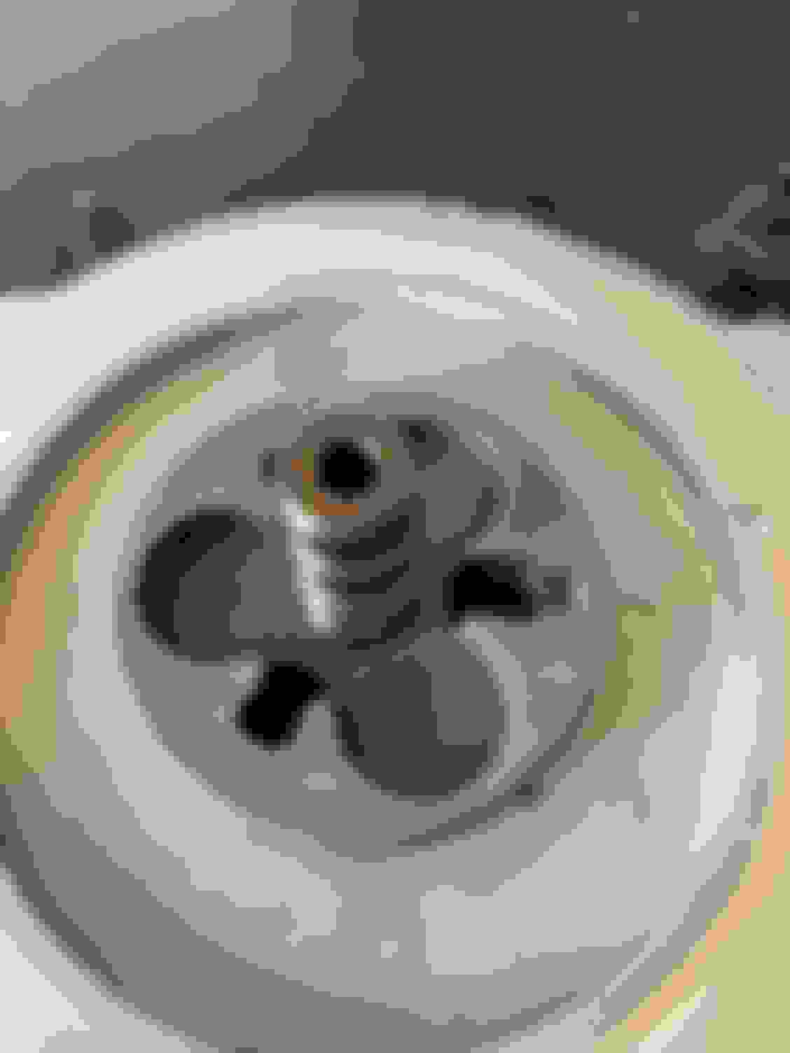 Vented opti spark install - CorvetteForum - Chevrolet Corvette Forum ...