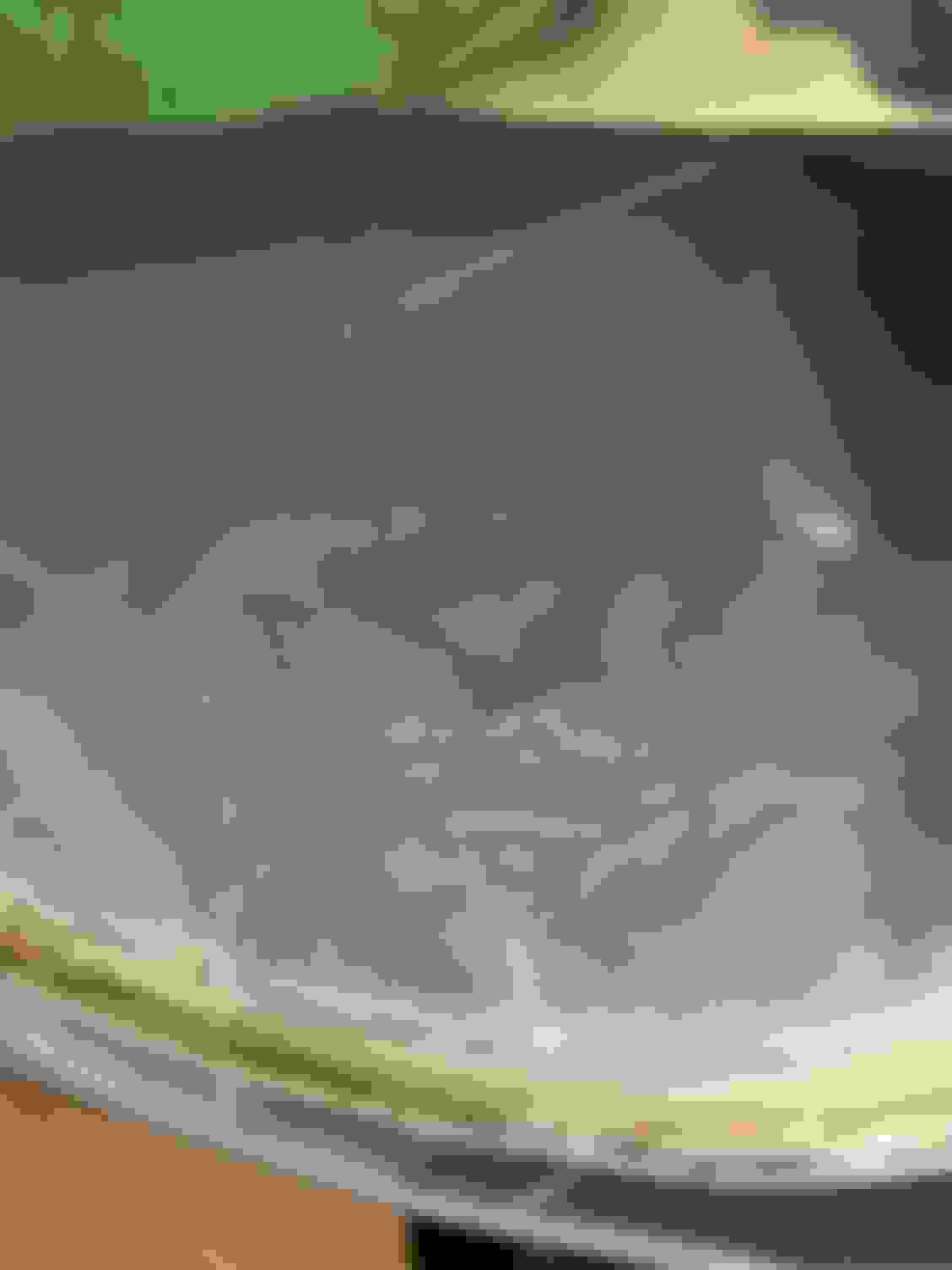 FS (For Sale) 1967 original GM LOF glass set M3 winshield M51 side ...