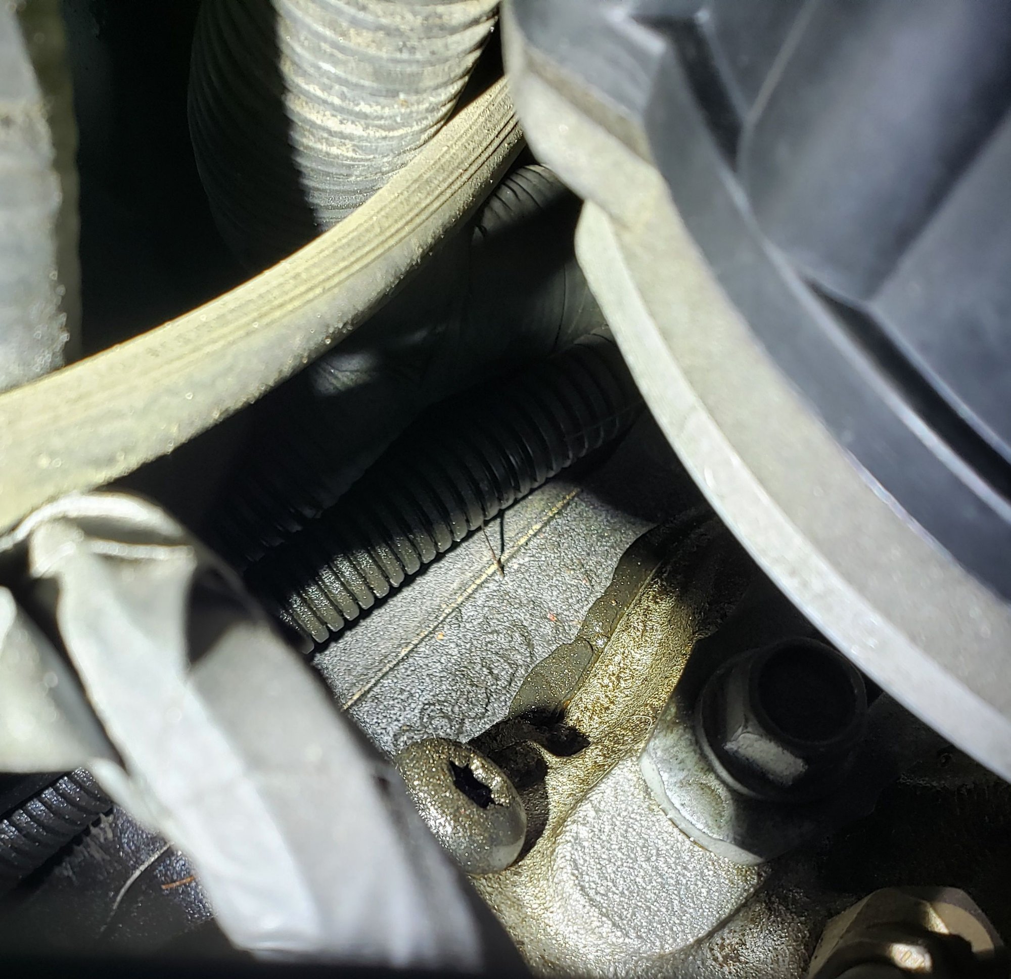 1991 L98 ZF6 Oil/Coolant Leak, poor running - CorvetteForum - Chevrolet ...