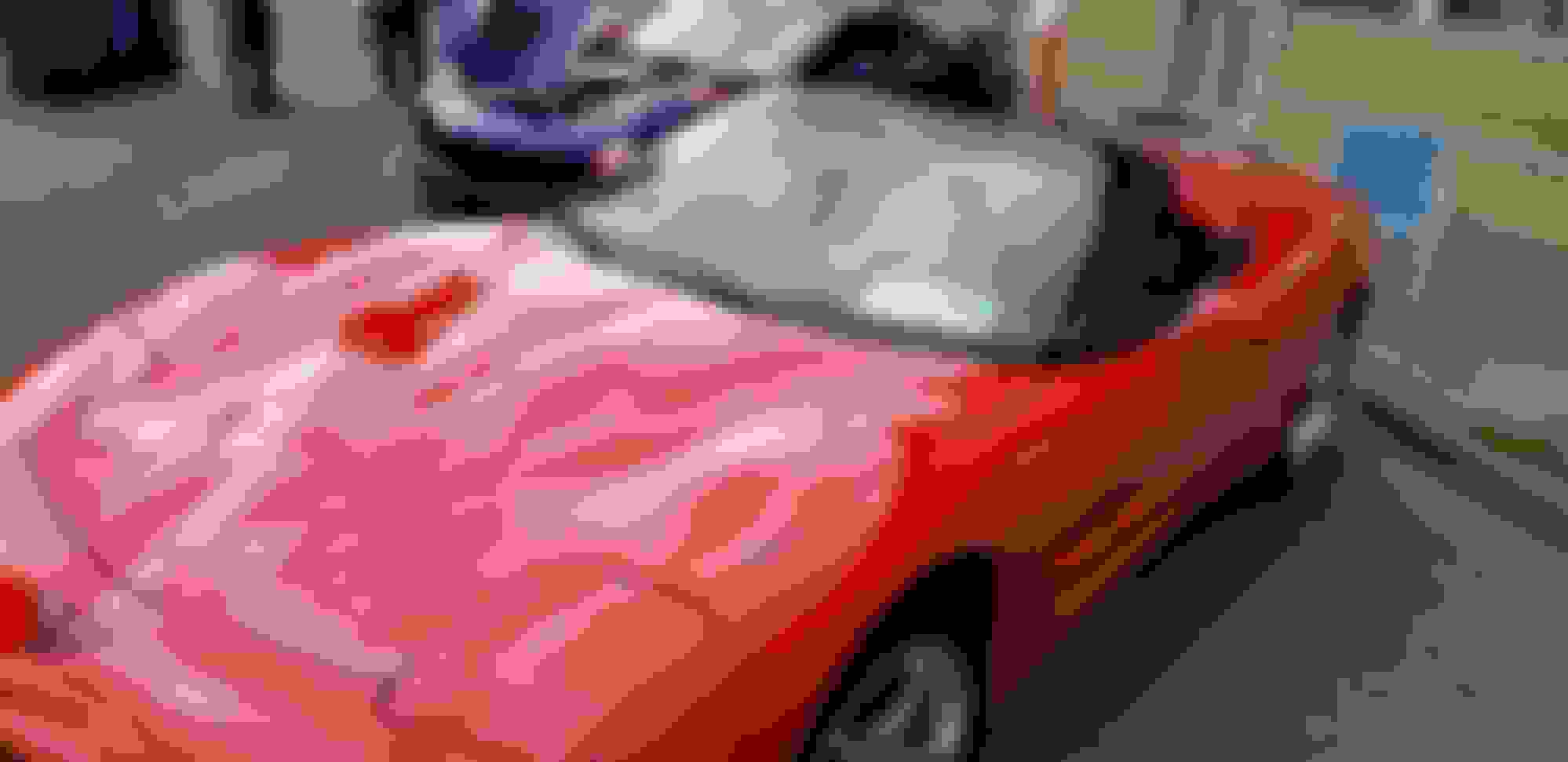 Issaquah Salmon Days - CorvetteForum - Chevrolet Corvette Forum Discussion