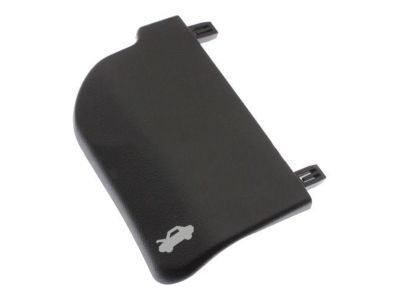 WTB (Want To Buy) WTB C6 Hood Release handle BEZEL - Black 10359449 ...