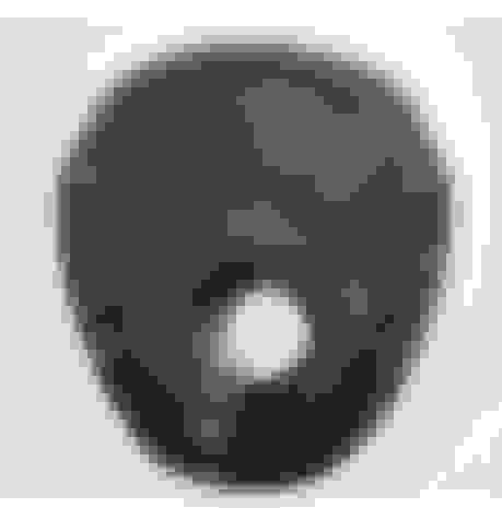 Cam button, timing cover and short water pump clearance - CorvetteForum ...