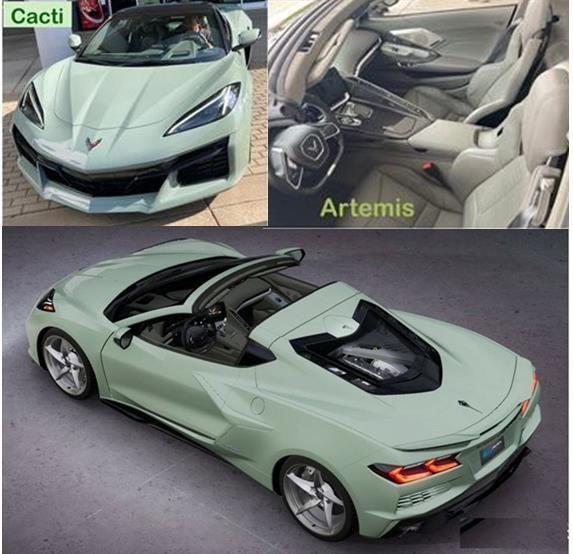 2024 Corvette - Anyone Else - Team Cacti ? - Page 4 - CorvetteForum ...