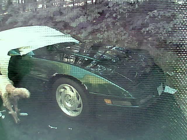 Need Fiberglass Expertise...Hood chewed by psycho dog! - CorvetteForum ...