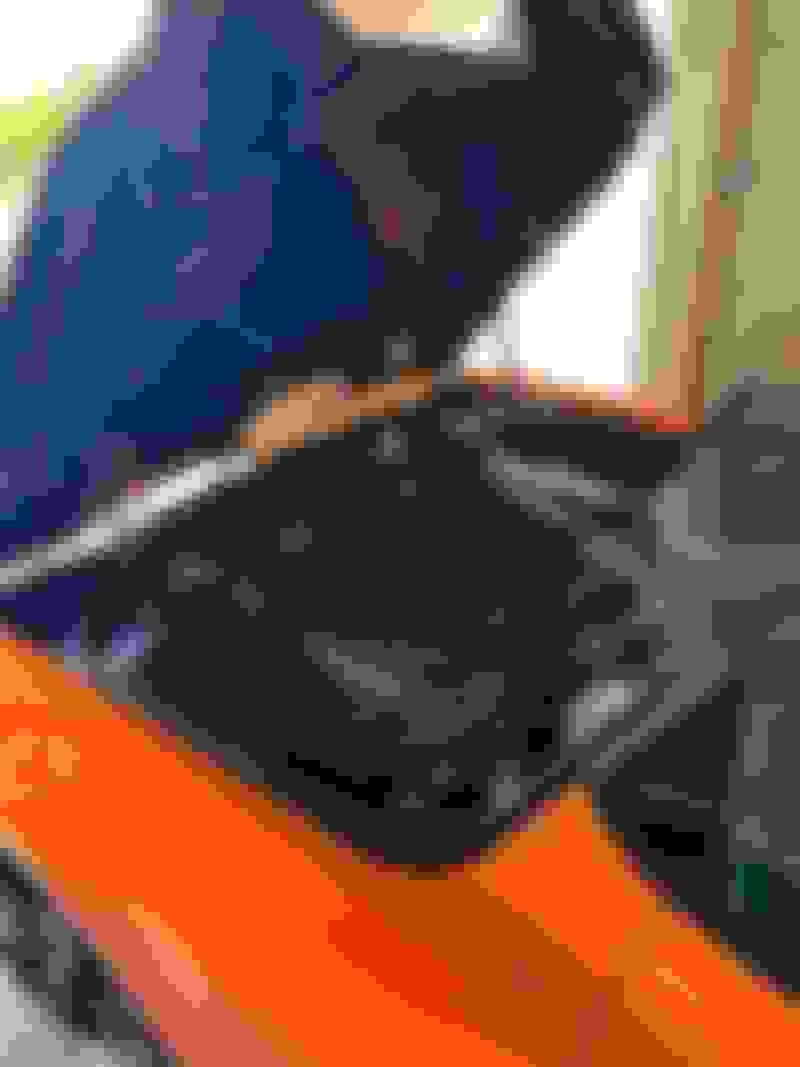 RapidRev / AMT Engine cover for HTC - CorvetteForum - Chevrolet ...