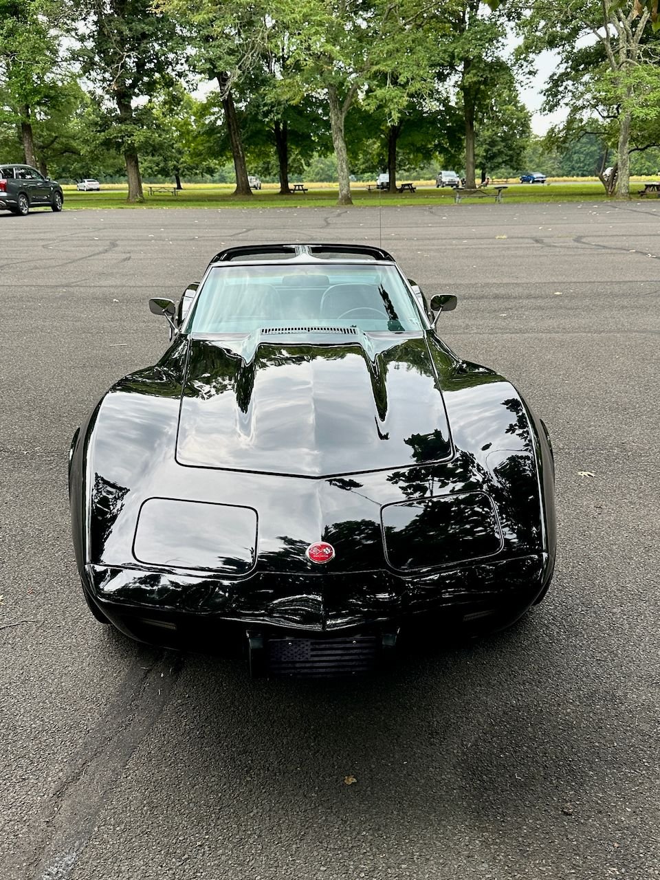 FS (For Sale) Special Order Black on Black ’76 Coupe - CorvetteForum ...