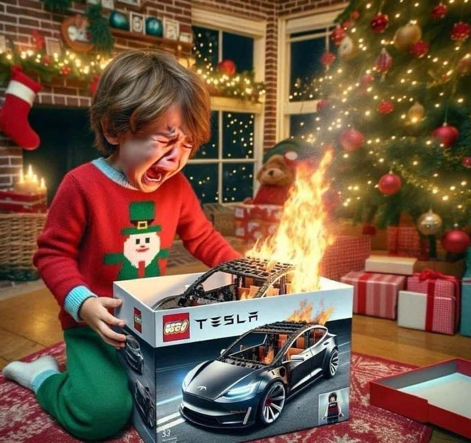 Tesla 4 Christmas - CorvetteForum - Chevrolet Corvette Forum Discussion