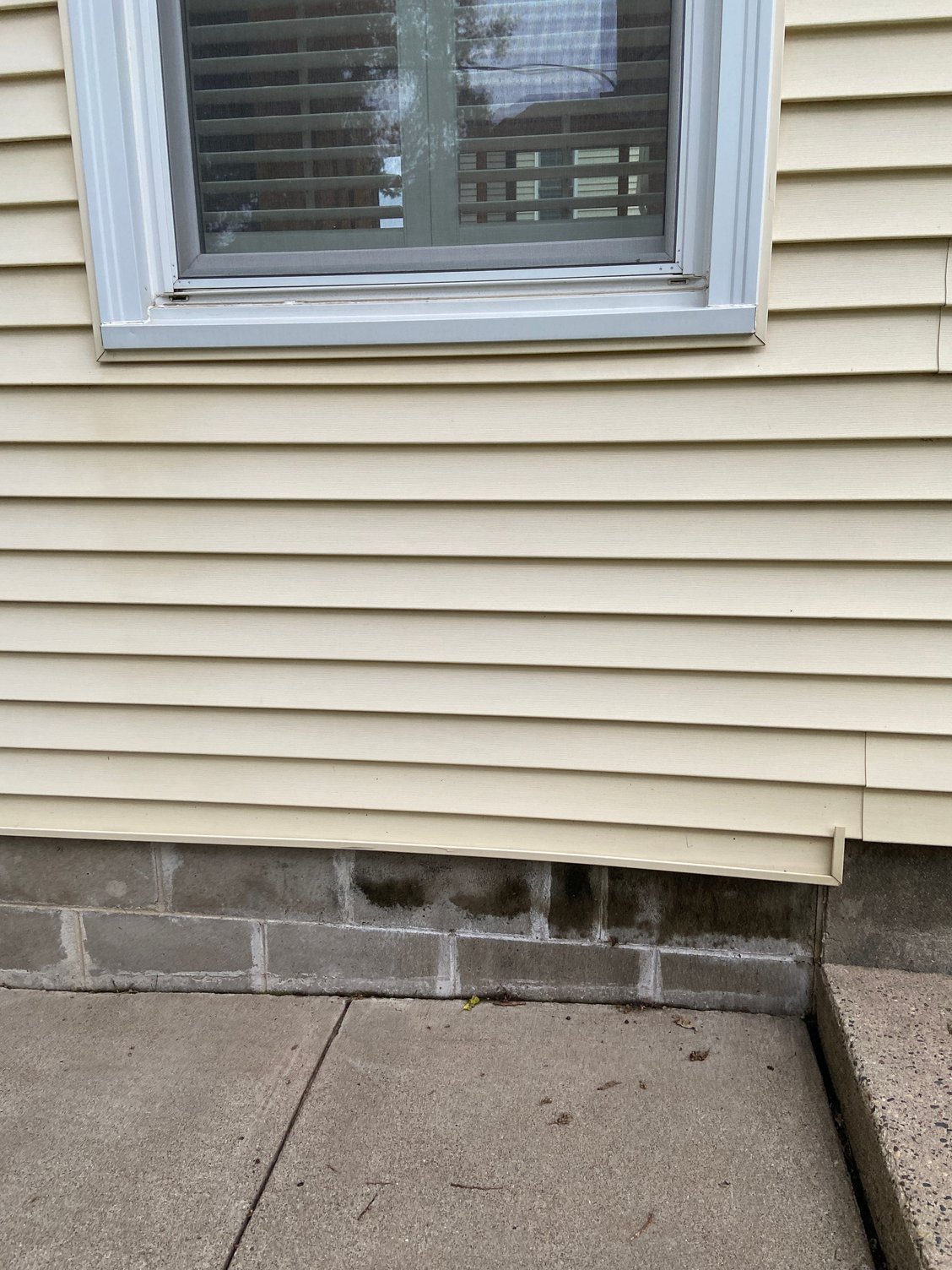 Wet Spot on Exterior Concrete After Rain – Cause for Concern ...