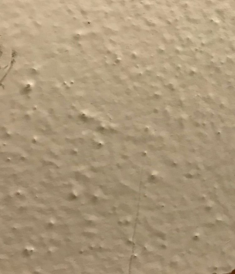 Delaminating Midcentury Drywall/Plaster Hybrid Surface - DoItYourself ...