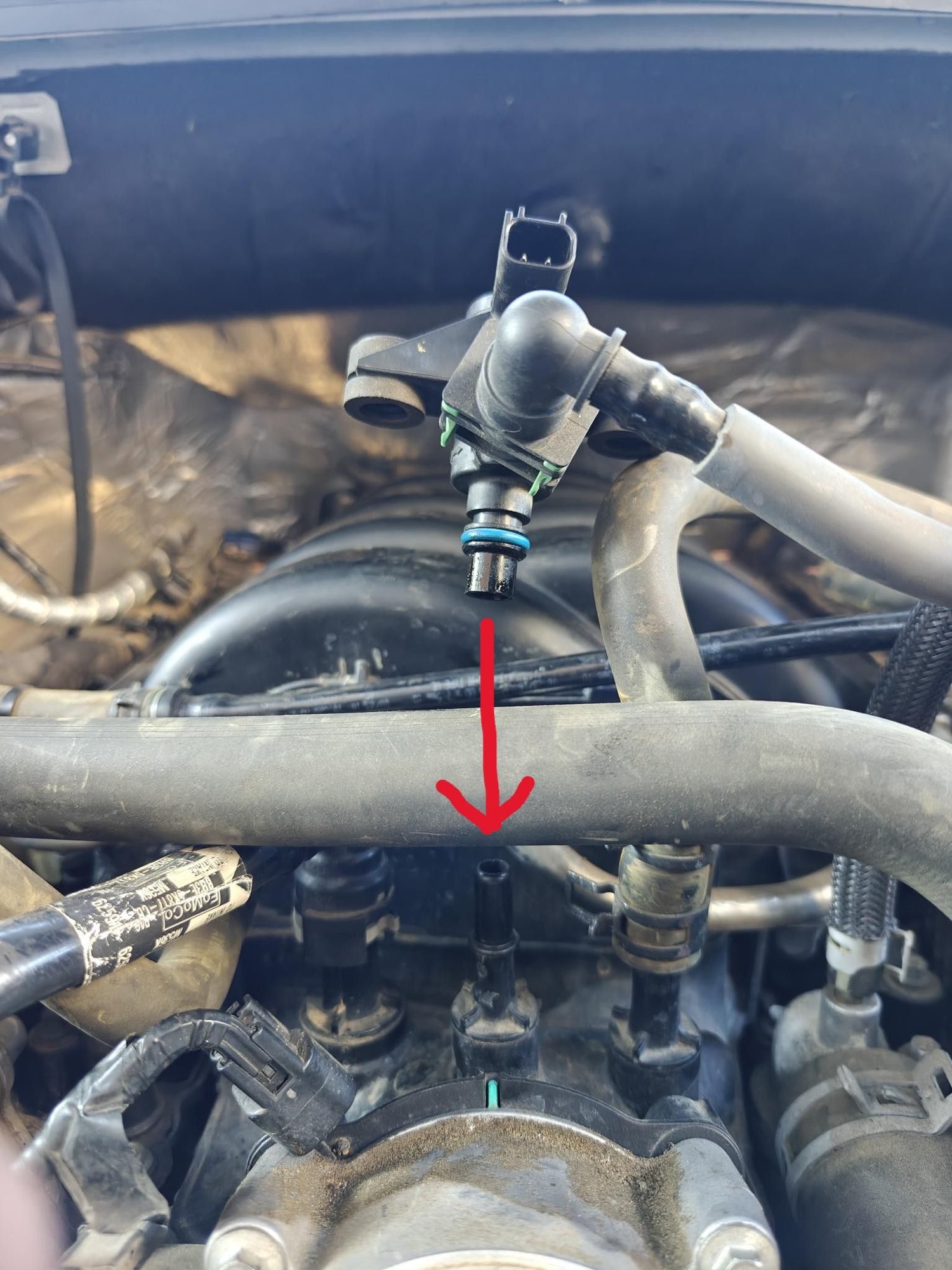 Gen 3 5.0 Intake Manifold onto Gen 2 Coyote Install Questions - Ford ...