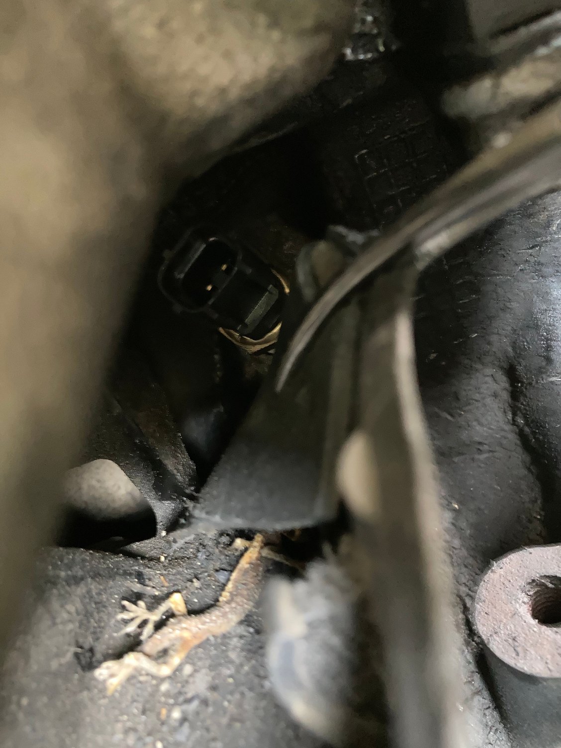 2002 ford f150 5.4 engine coolant temperature sensor location - Page 2 ...