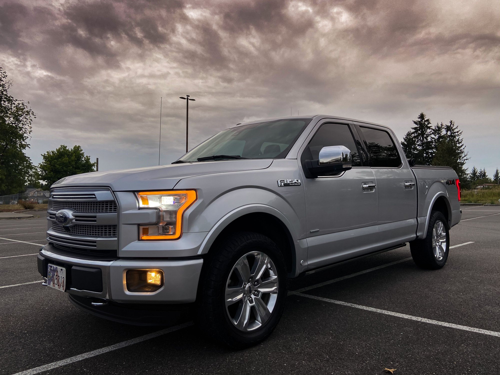 Modified Drive - Ingot Silver Platinum F150 build aka the plaptor ...