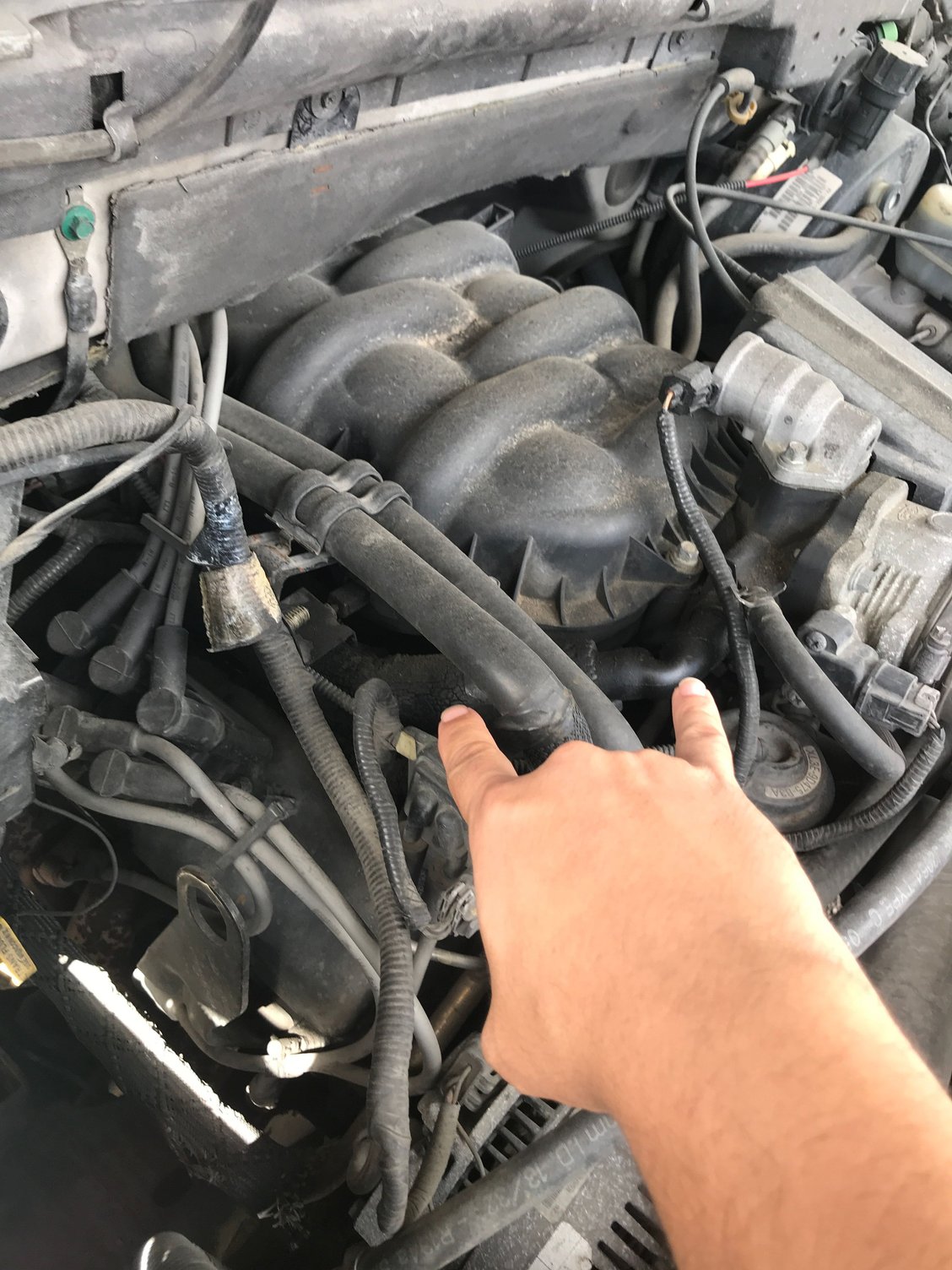 Where is that PCV elbow on a 4.2? - Ford F150 Forum - Community of Ford ...