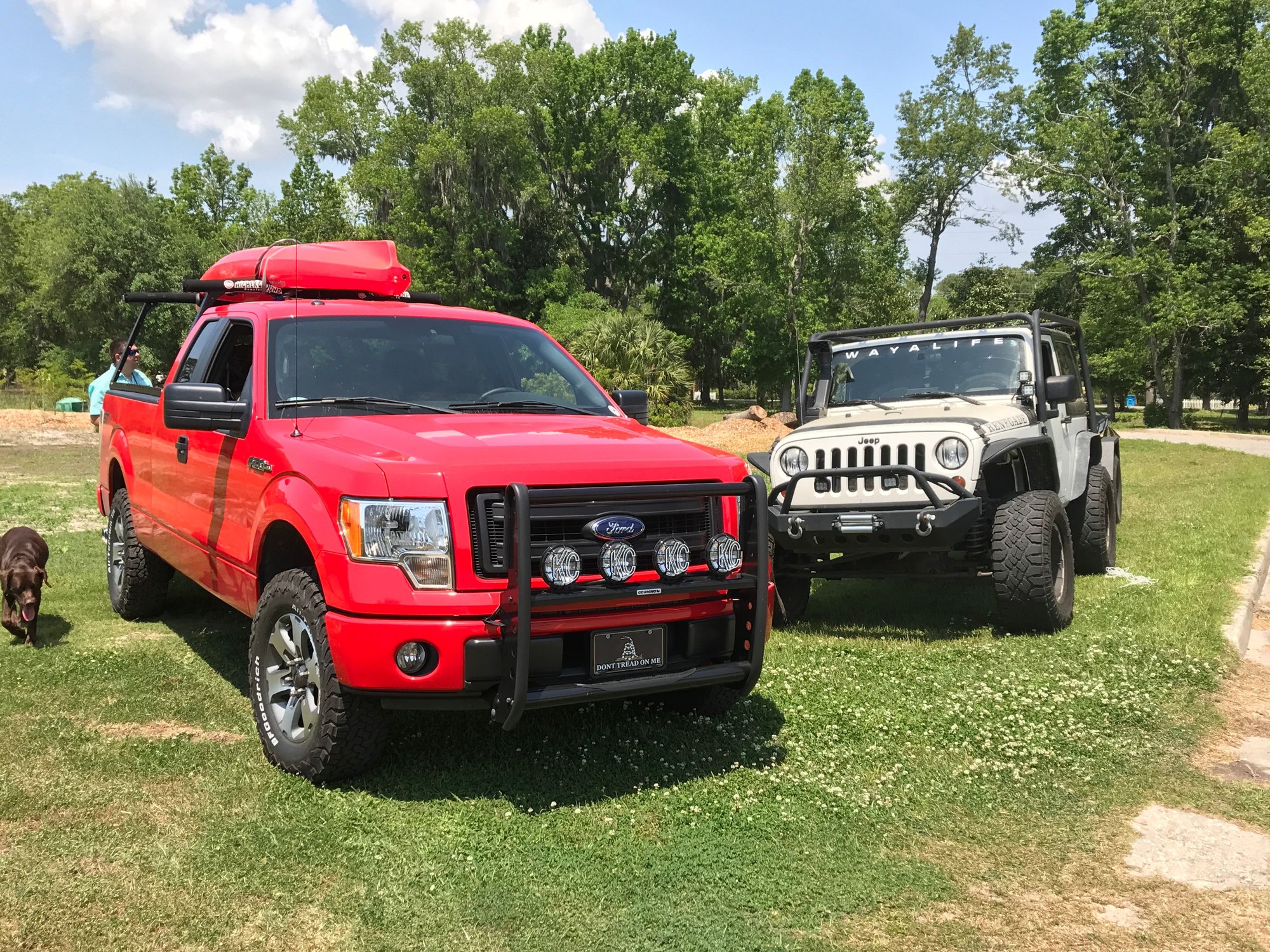 How do you transport your Kayaks? - Ford F150 Forum - Community of Ford ...