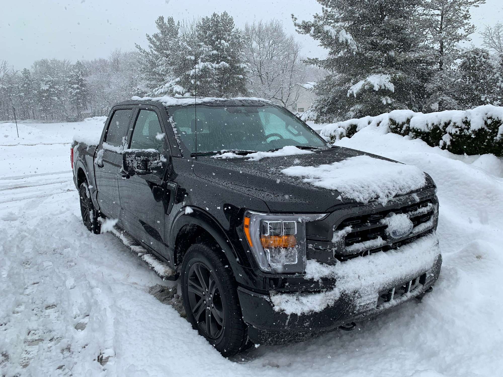 One week in: 2021 XLT Sport 302A High - Ford F150 Forum - Community of ...