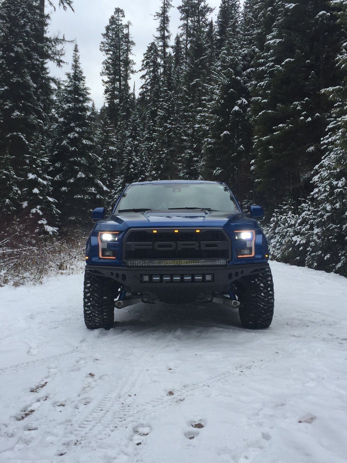 SnowDawg's Lifted '14 FX4 - Page 5 - Ford F150 Forum - Community of ...