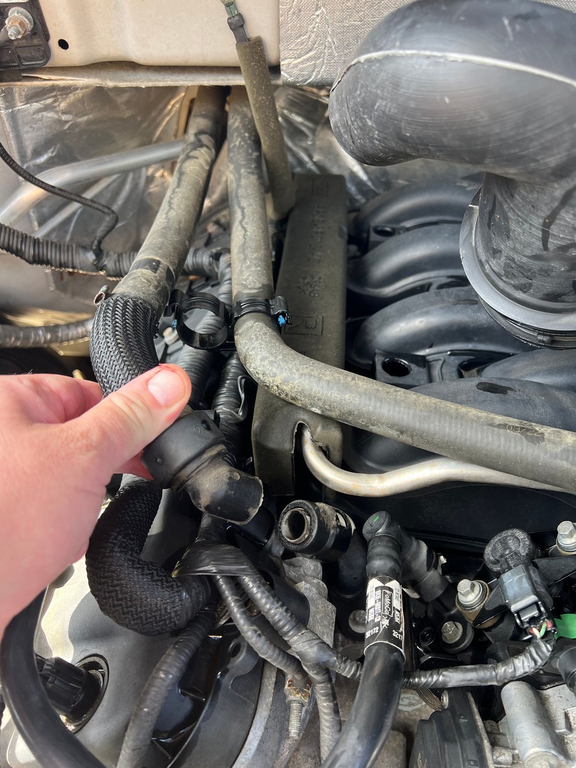 ID hose top of 5.0 - Ford F150 Forum - Community of Ford Truck Fans