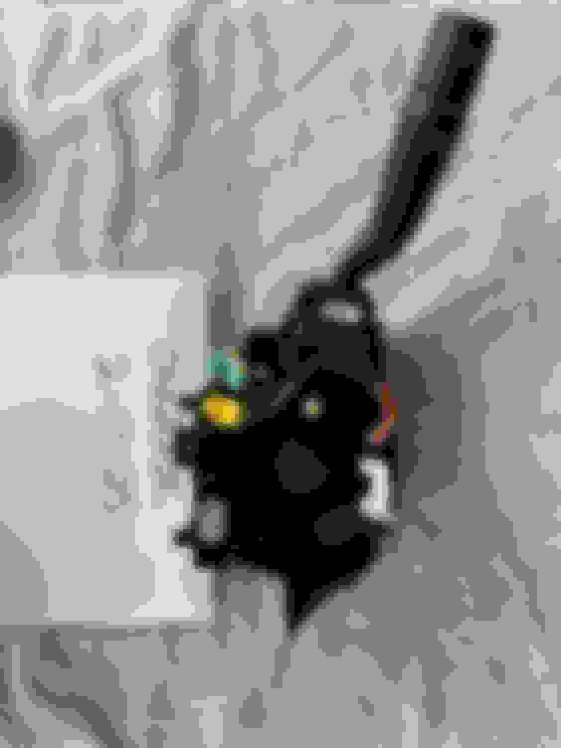 Southwest 2023 SCCM and clock spring - Ford F150 Forum - Community of ...