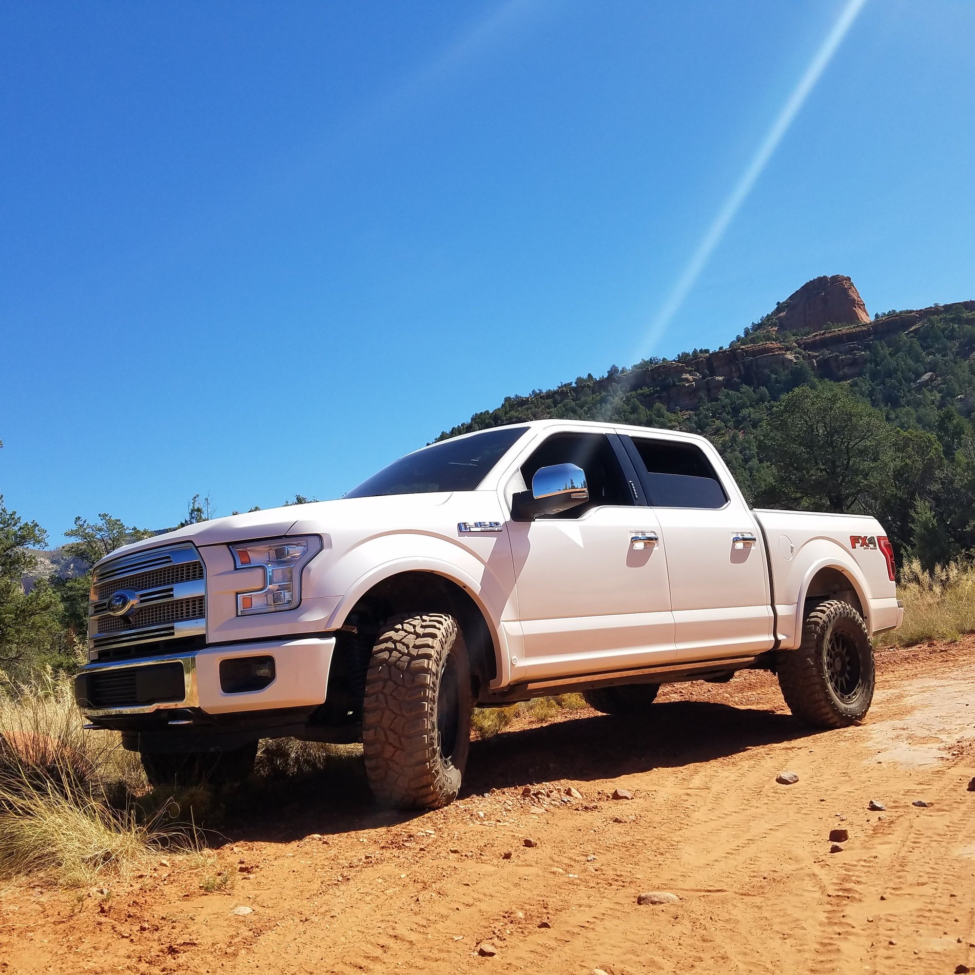 Platinum "Trail Rig" on 35s - Ford F150 Forum - Community of Ford Truck ...