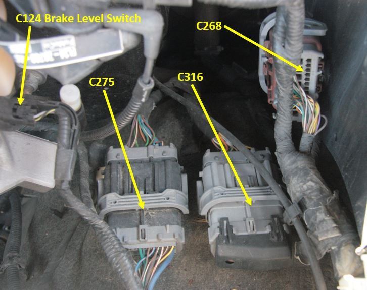 2019 F150 Backup Camera Issue - Ford F150 Forum - Community of Ford ...