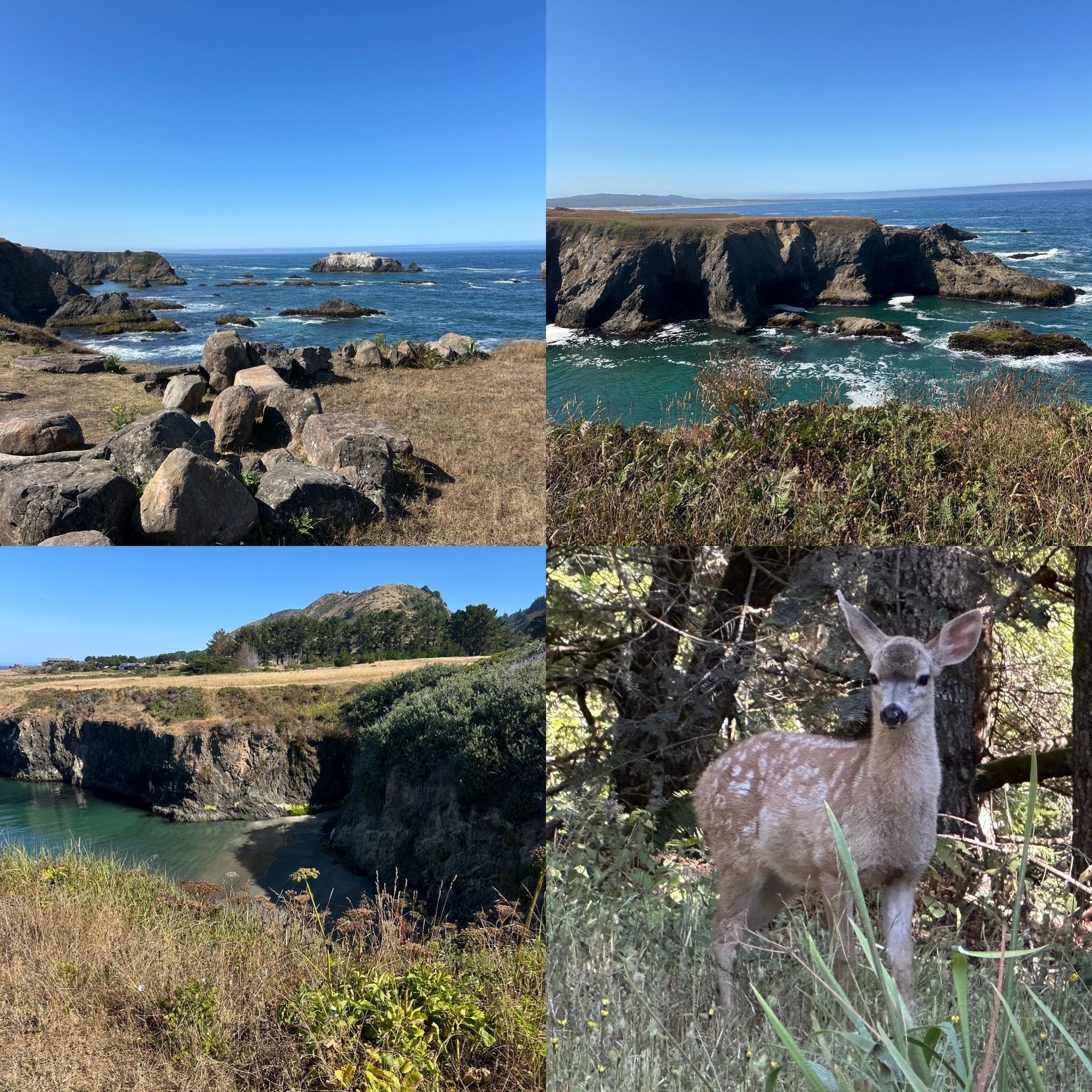 Inn at Newport Ranch, Ft Bragg, CA - FlyerTalk Forums