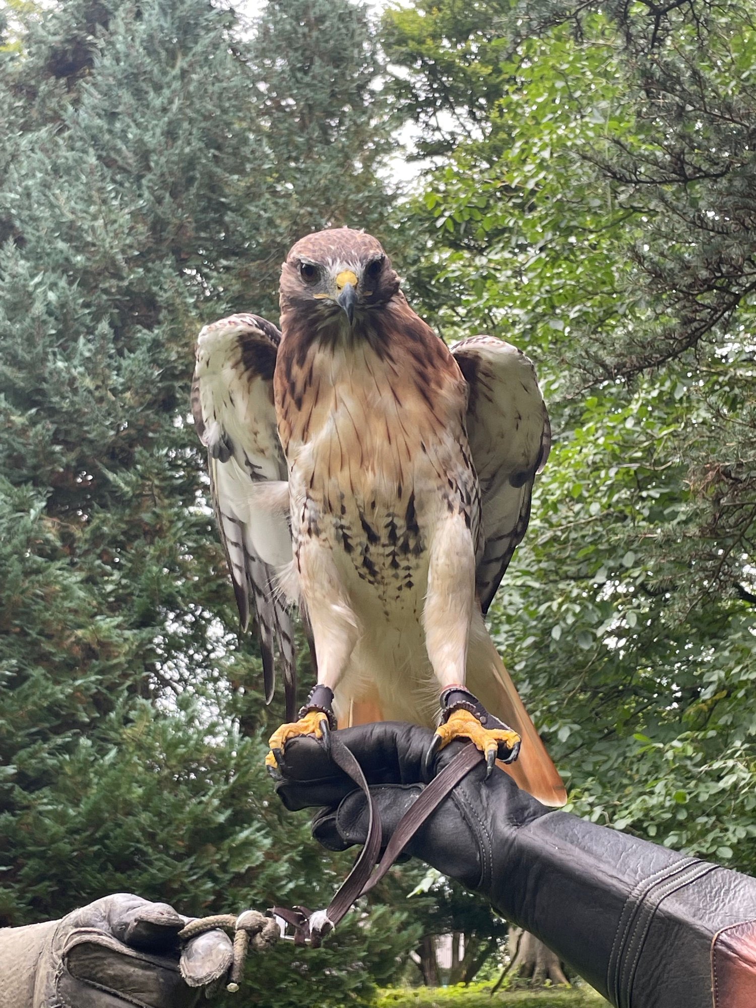 Trip Report Incredible, Impeccable Ireland...first trip to the Emerald ...