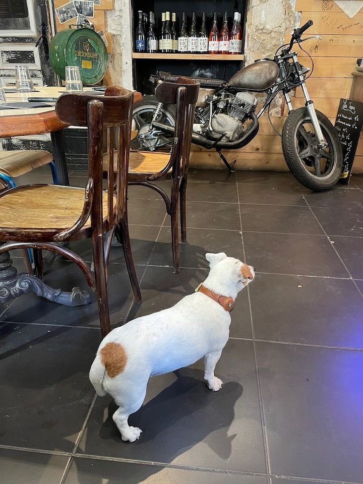 Trip Report Marvelous Marseille! - Page 2 - Fodor's Travel Talk Forums