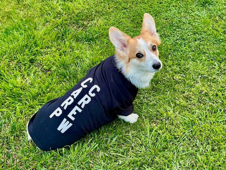 Trip Report Far West Sojourn: a Santa Barbara TR - Page 3 - Fodor's ...