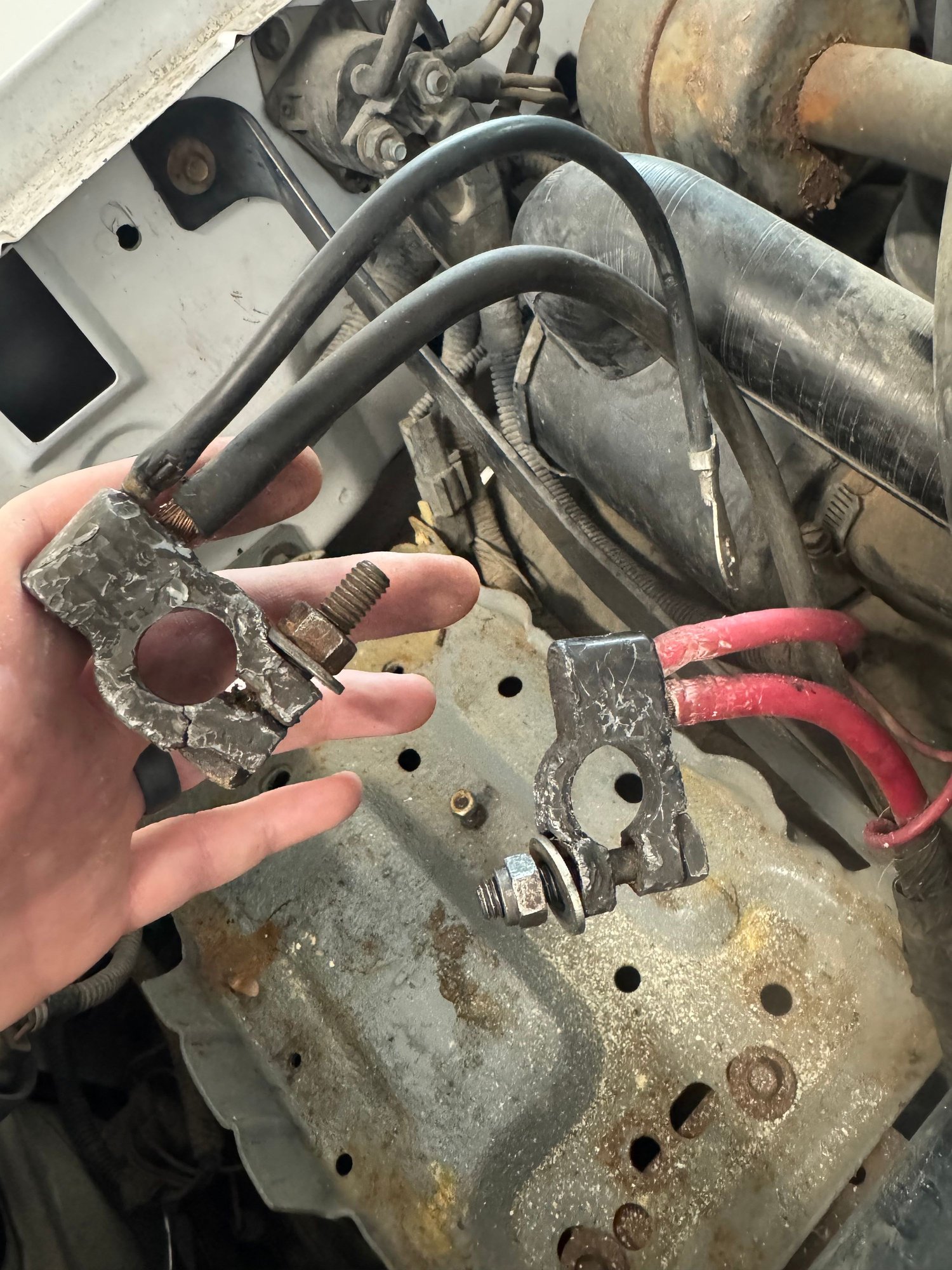 Replacing battery terminals - Ford Truck Enthusiasts Forums