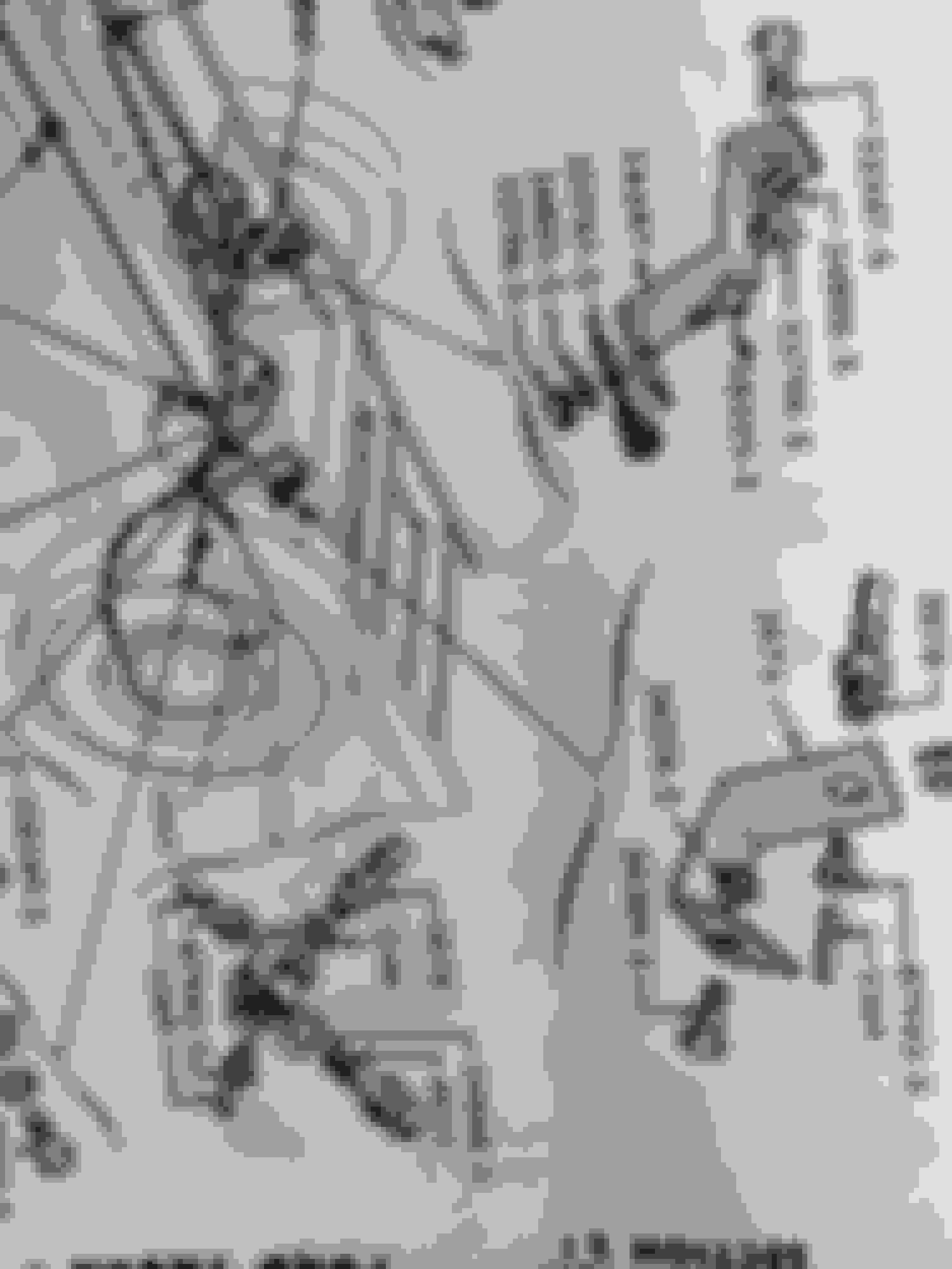 Rear Brake line routing - Ford Truck Enthusiasts Forums