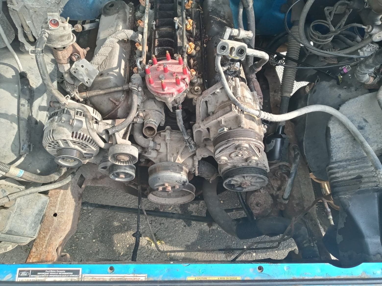 1995 302 to 1996 351w Swap Build - Page 2 - Ford Truck Enthusiasts Forums