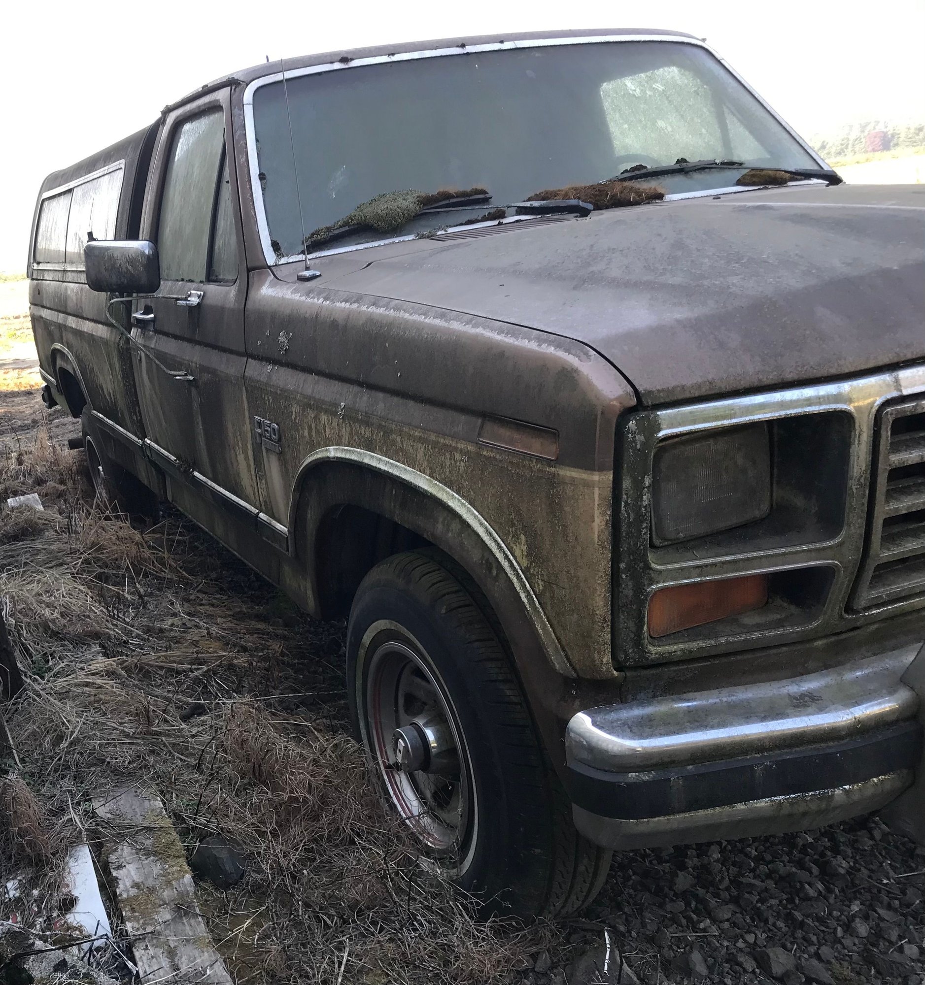 Gifted an '86 F150 w/ 302 EFI - Ford Truck Enthusiasts Forums