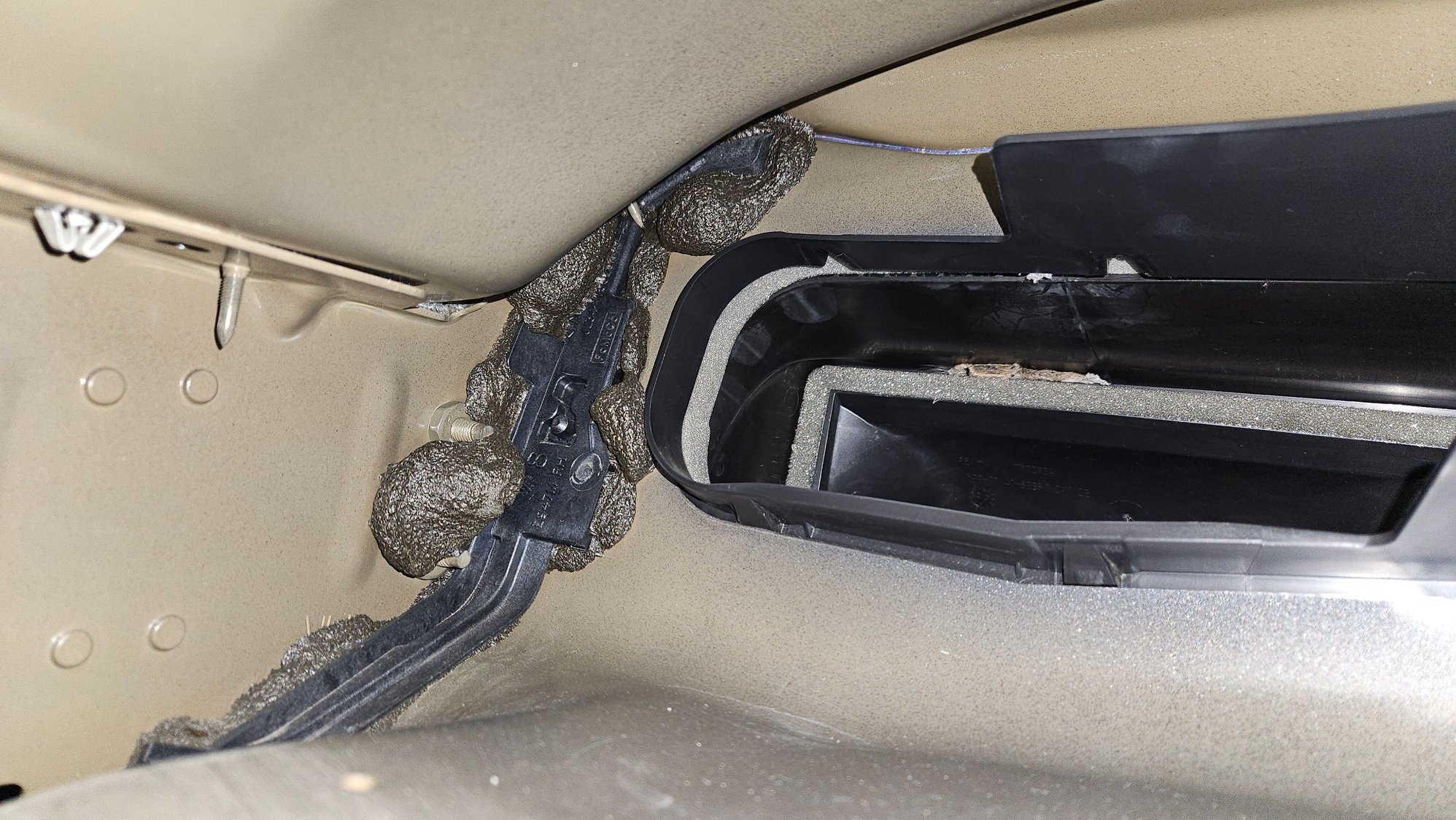 Arrrgggg Mice - Ford Truck Enthusiasts Forums