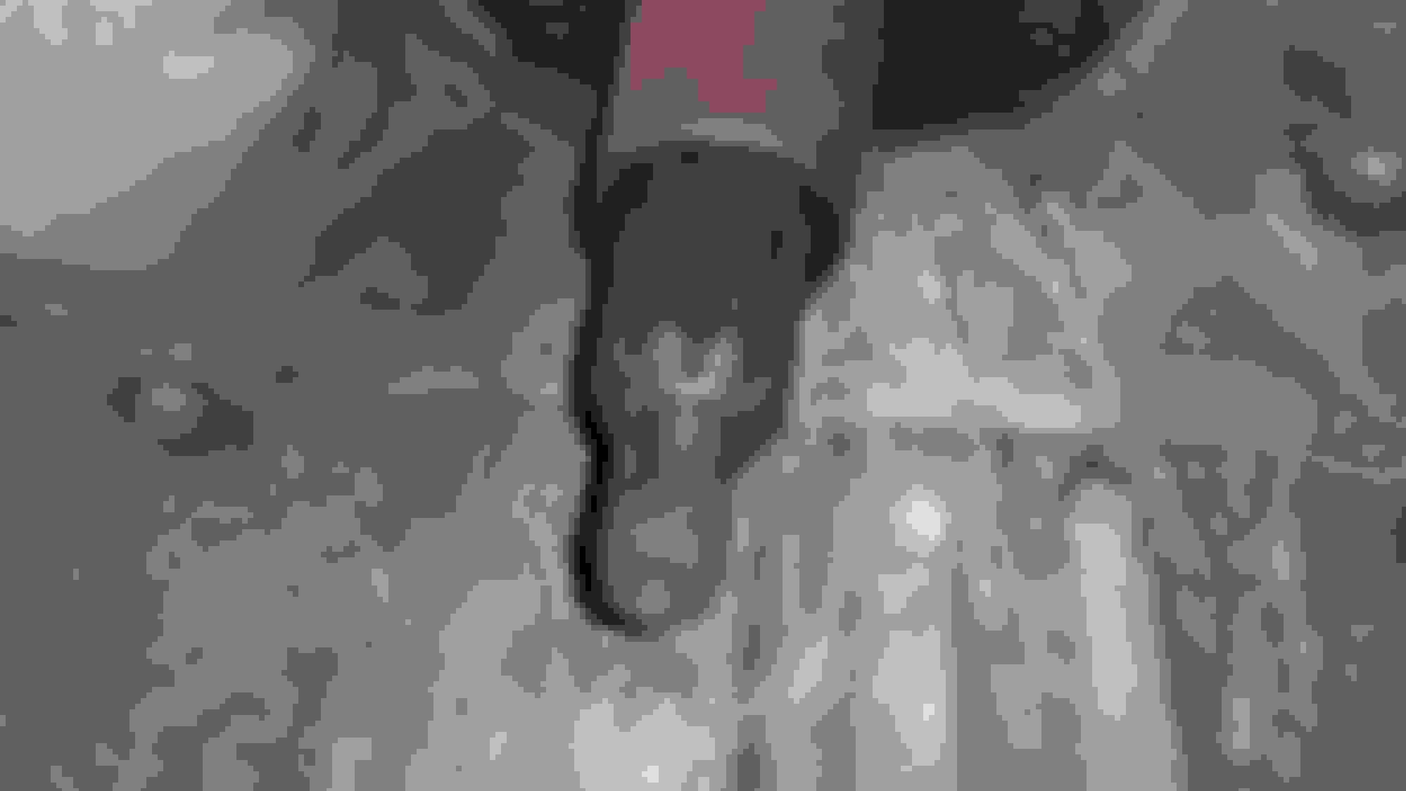 Np435 input shafts - Ford Truck Enthusiasts Forums