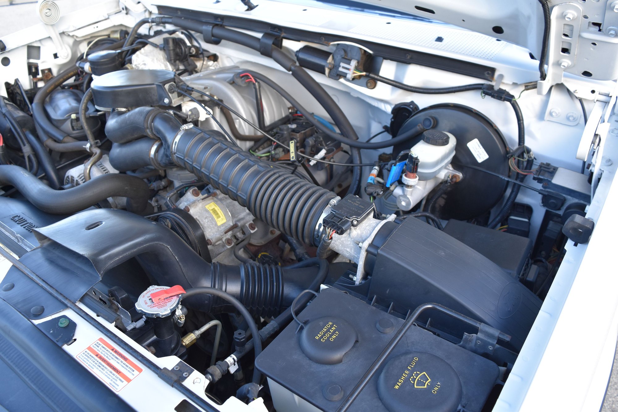 1996 Ford F150 XLT Short Box, 302 V8, 52K, 2WD, Untouched Survivor ...