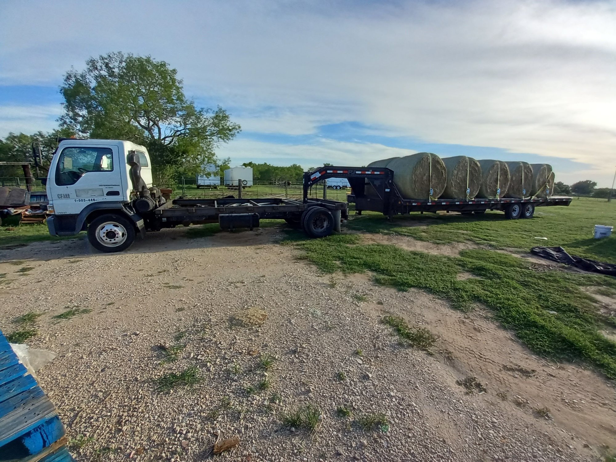 International CF500 - Ford Truck Enthusiasts Forums