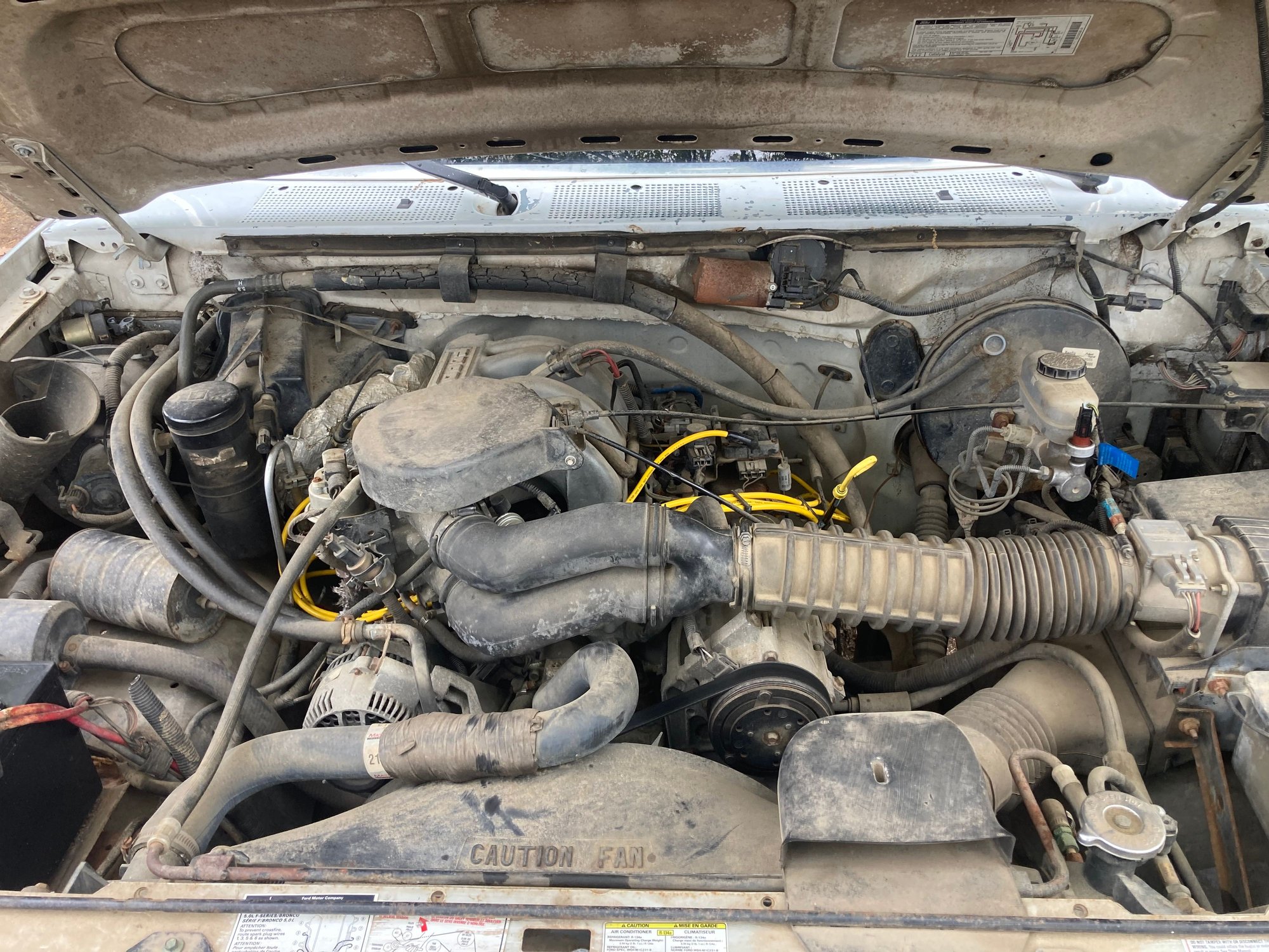 Possible PIP issue 1994 5.0 - Ford Truck Enthusiasts Forums