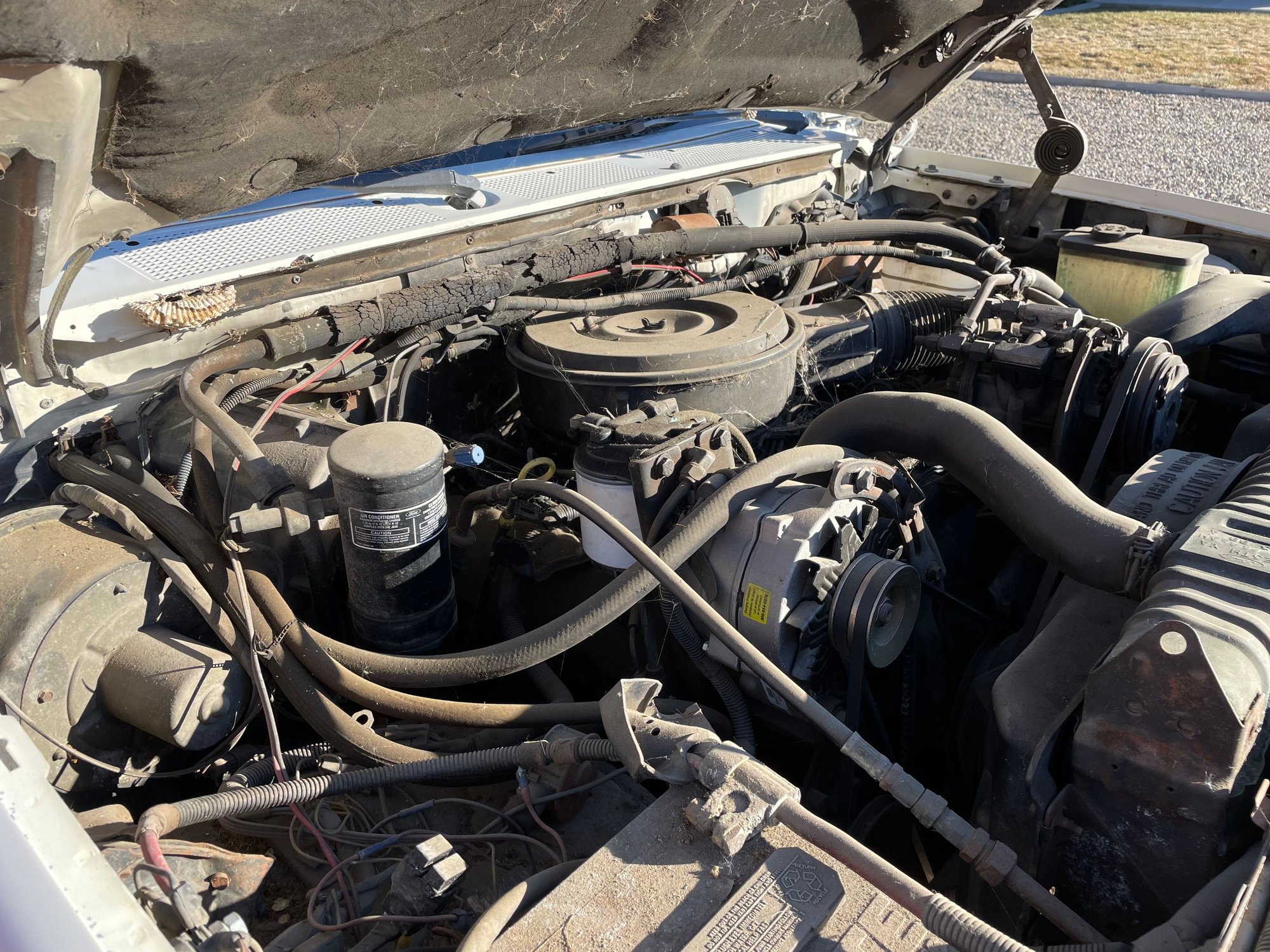 What to do with a 1988 7.3 IDI Engine - Ford Truck Enthusiasts Forums