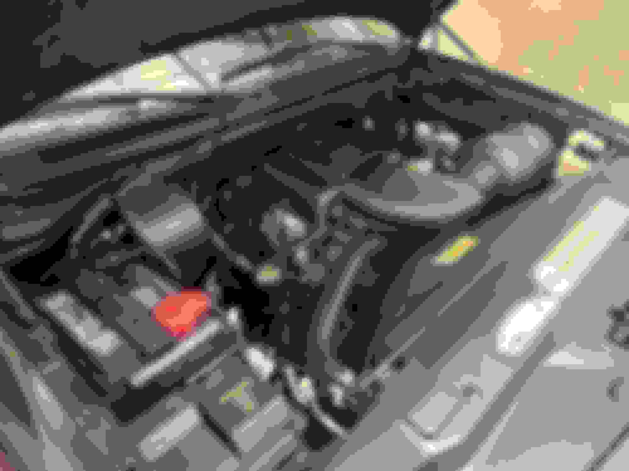 New from Philippines - Ford Truck Enthusiasts Forums