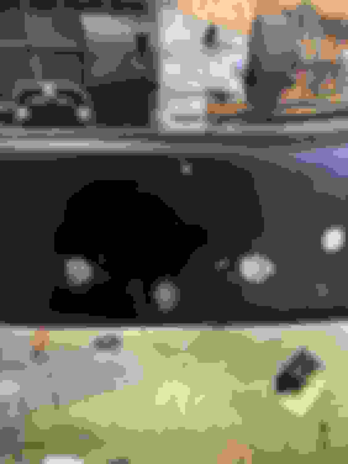 1970 Highboy Upgrades and Restomod - Ford Truck Enthusiasts Forums