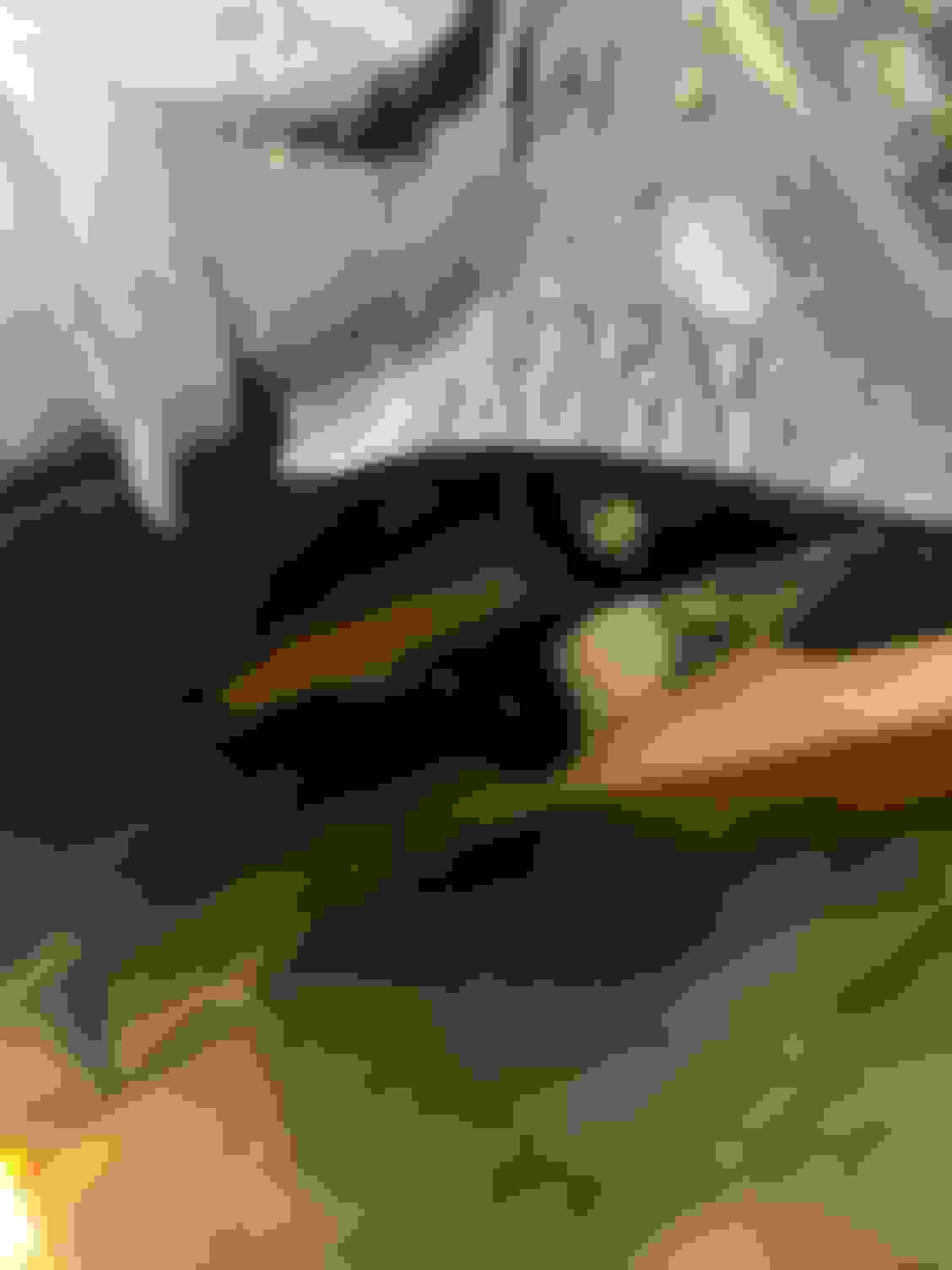 Help Identifying Rear Axle - Ford Truck Enthusiasts Forums