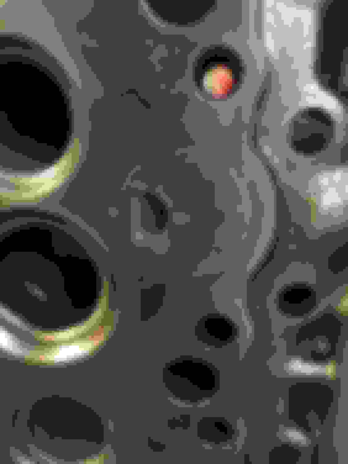 7.3 IDI Turbo Build for '87 F350 Crew Cab 4x4 Dually - Ford Truck ...