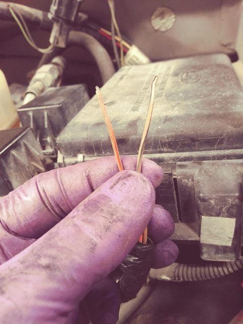End of wire harness ripped off - Ford Truck Enthusiasts Forums
