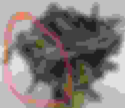 Truck stalls after start - Ford Truck Enthusiasts Forums