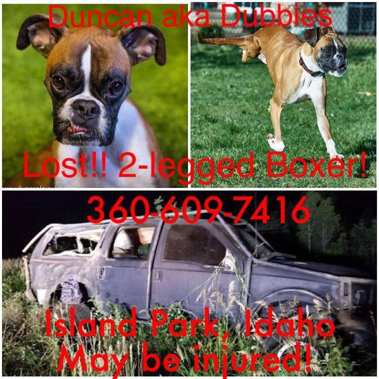 HNC Exo-Cage FTW----> - Ford Truck Enthusiasts Forums